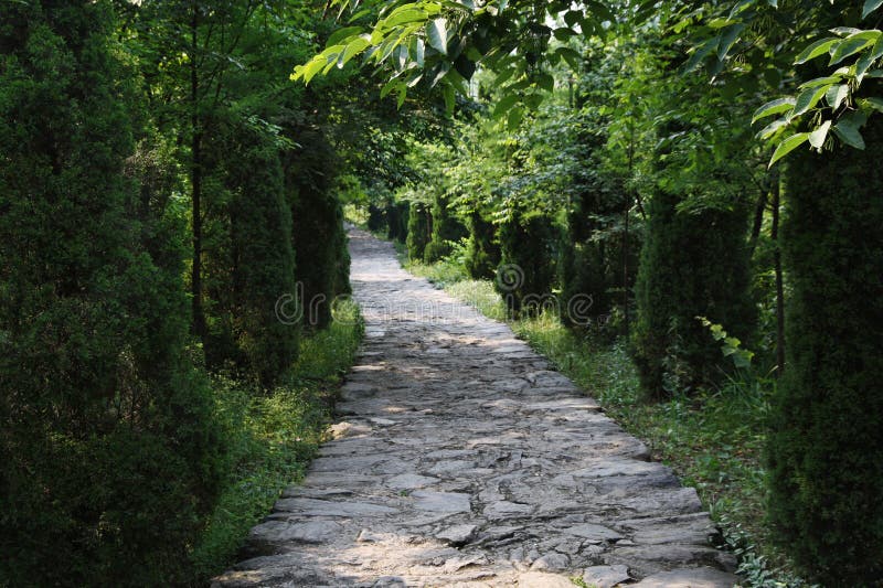 Path shaded by trees stock photo. Image of shaded, park - 3085292