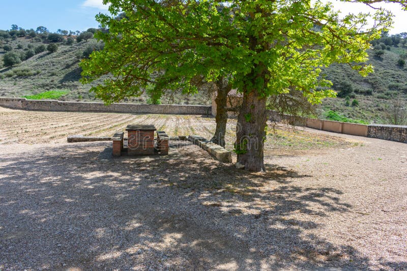 Tree Shading Stone Table in the Field Stock Image - Image of public ...