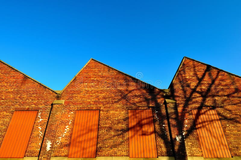 Tree shadow stock image. Image of tree, brick, sunset - 10946953
