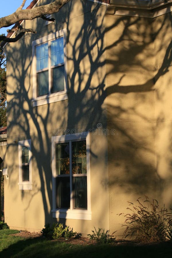 Tree Shadow Picture. Image: 1614134