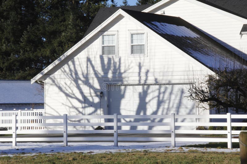 Tree Shadow and Morning Sunrise Stock Image - Image of spring, grass ...