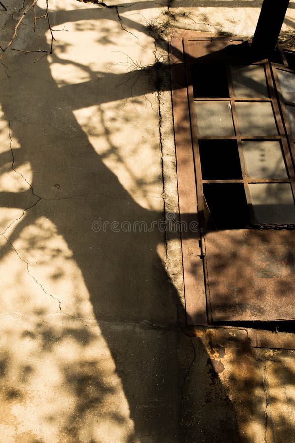 Tree shadow stock photo. Image of building, karakoy, window - 53903088