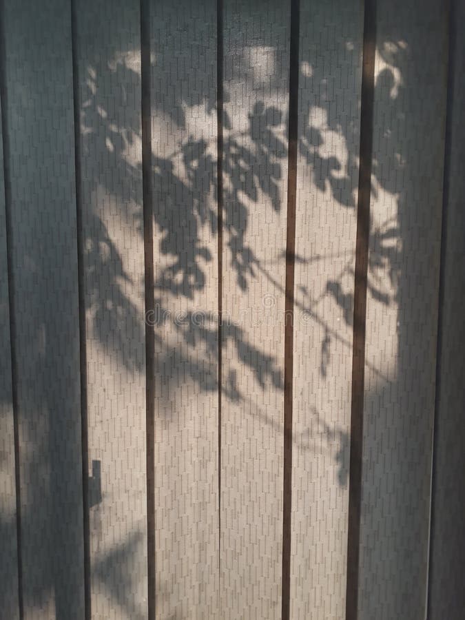 Tree Shadow Behind the Curtains. Stock Image - Image of captured ...