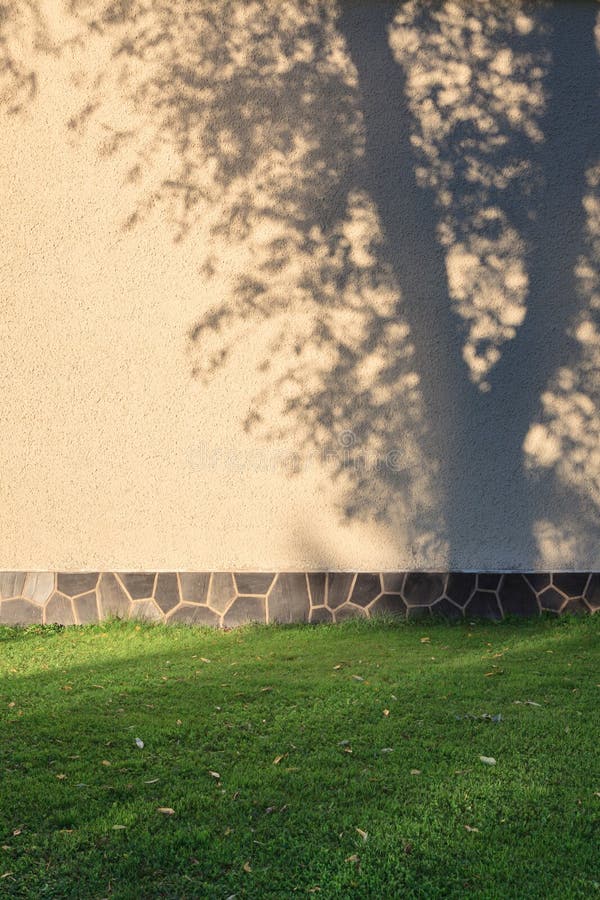 Tree Shadow in Building Wall Stock Image - Image of wall, grass: 143292809