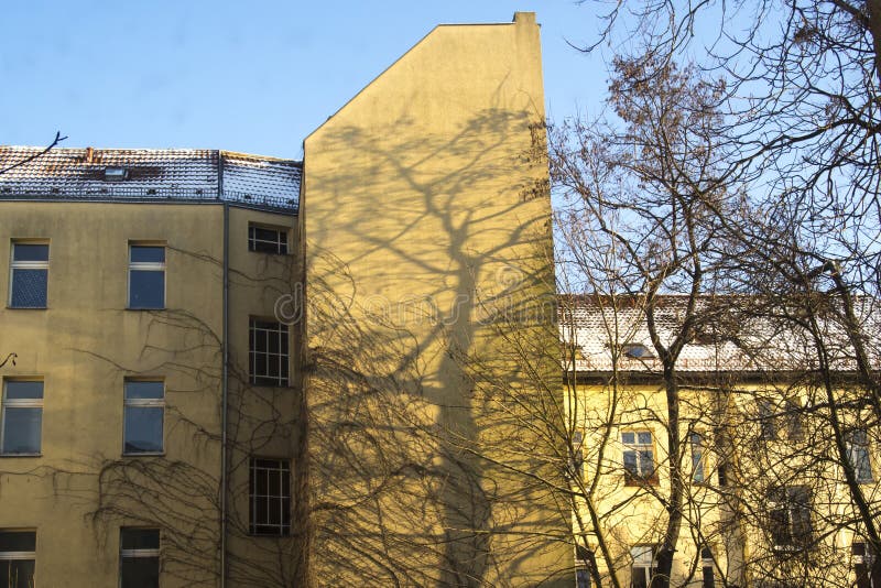 Tree Shadow on Building Wall Stock Image - Image of landscape, building ...