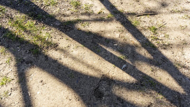The Tree Shadow Cast on the Ground. Shadow of Tree on Earth Stock Image ...