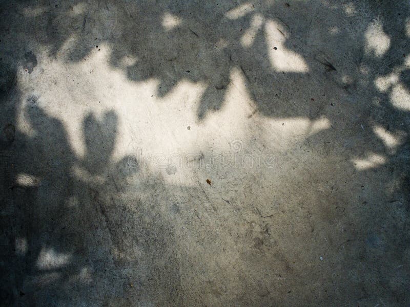 902 Tree Shadow Concrete Floor Stock Photos - Free & Royalty-Free Stock ...