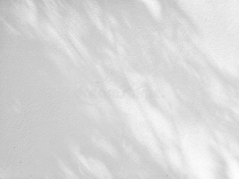 Tree Shadow on Concrete Wall Texture Background. Stock Image - Image of ...