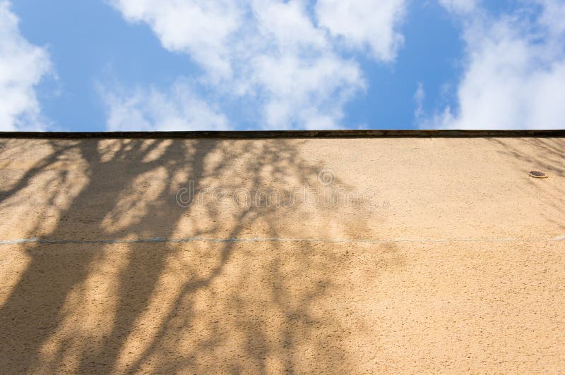 Tree Shadow on a Concrete Wall Under a Cloudy Sky Stock Photo - Image ...