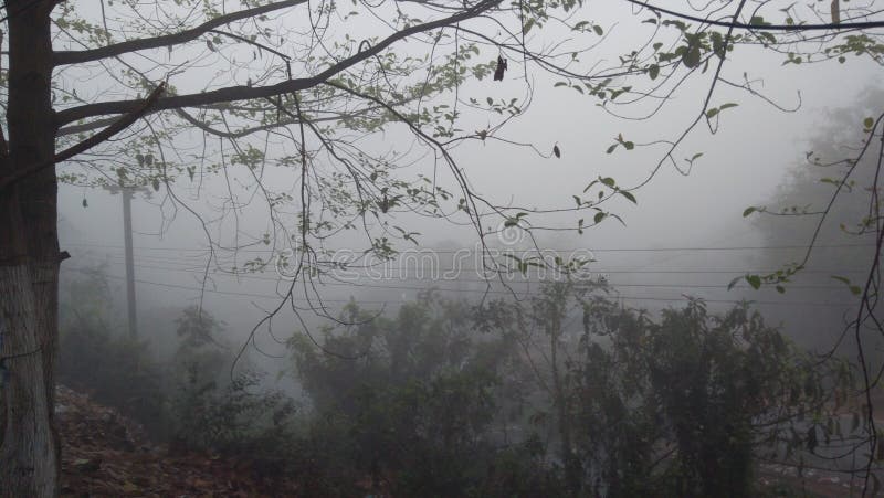 Nature in shadow stock photo. Image of shadow, evening - 123663454