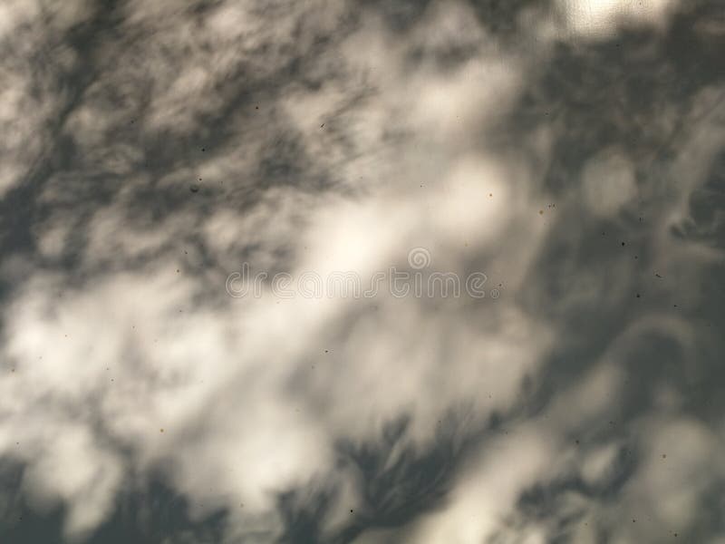 Tree Shadow on White Metal Sheet Background. Stock Image - Image of ...