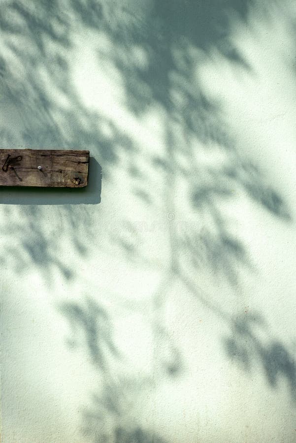 Tree Shadow on the White Concrete Blackground Stock Photo - Image of ...