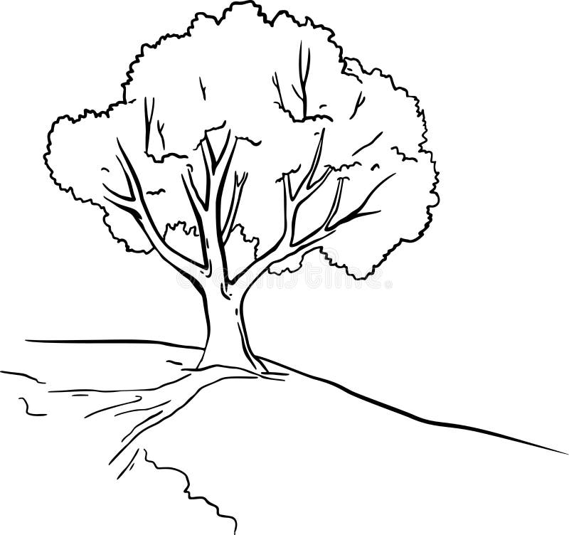 Tree, Shadow, Hand Draw Vector Illustration Art Stock Vector ...