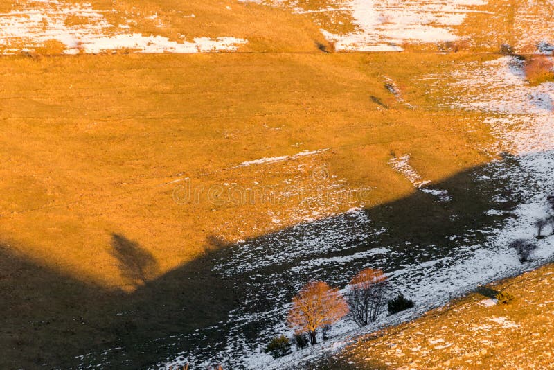 Tree Shadow on a Mountain with Melting Snow, with Warm Sunset Colors ...