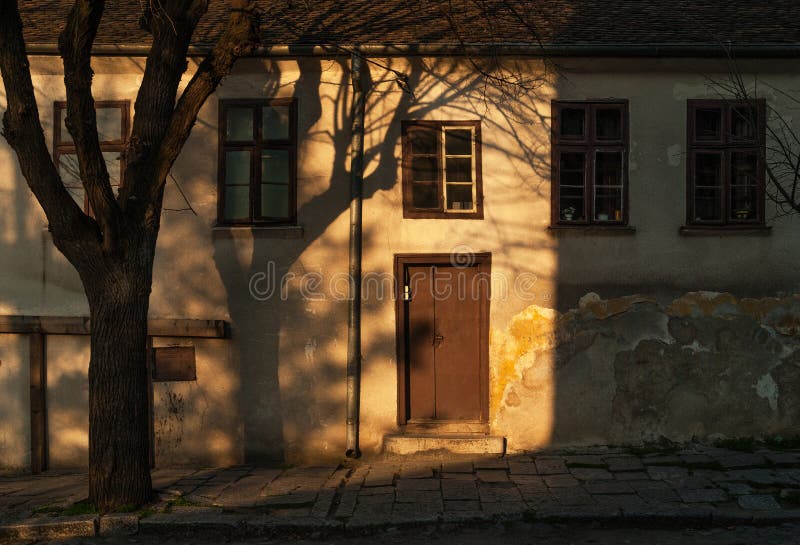 Tree shadow on old house stock image. Image of focus - 48545239