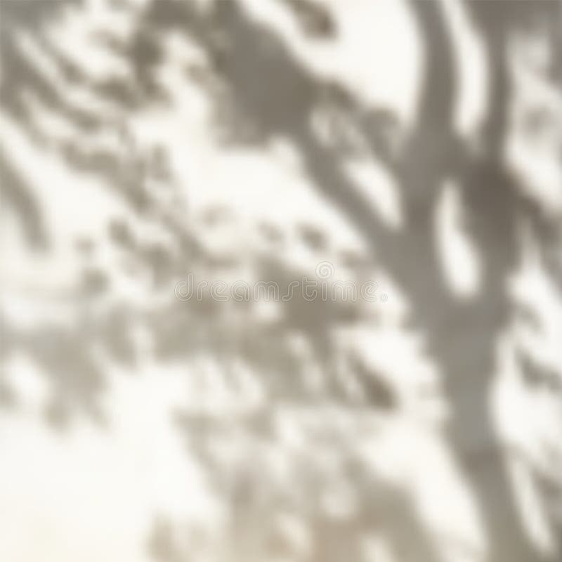 Tree Shadow Overlay for Branding, Organic Aesthetics, Minimalist Design ...