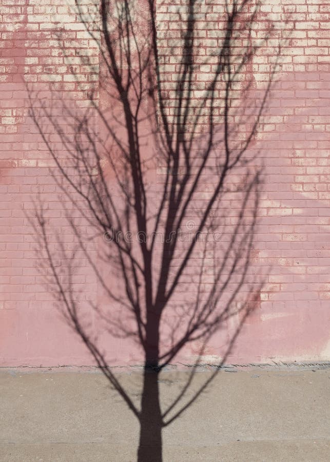 Tree Shadow on a Red Brick Wall Stock Image - Image of pattern, nature ...