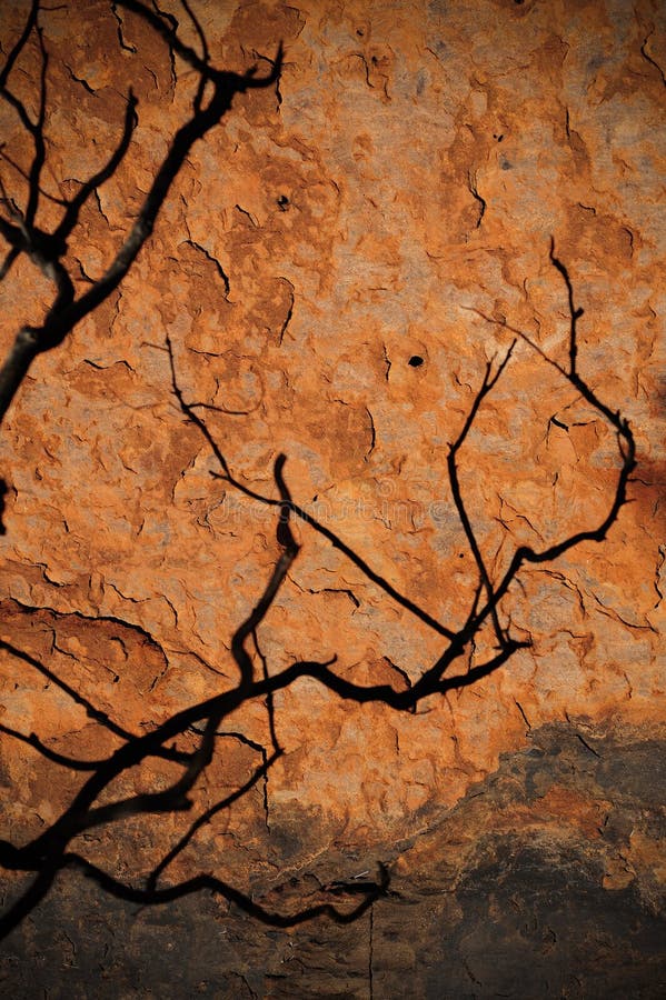 Tree shadow on red rock stock image. Image of australia - 50839409