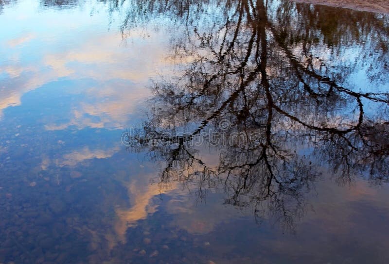 Tree Shadow Reflection on the Water Stock Image - Image of mission ...