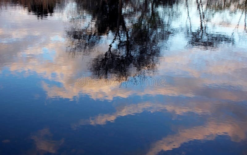Tree Shadow Reflection on the Water Stock Image - Image of park, trees ...