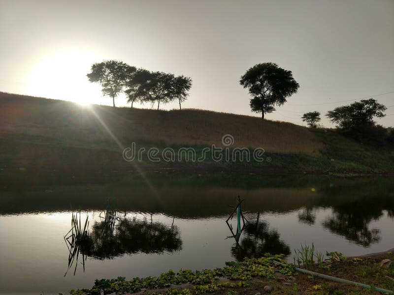 Tree shadow in river stock image. Image of shadow, tree - 180940577