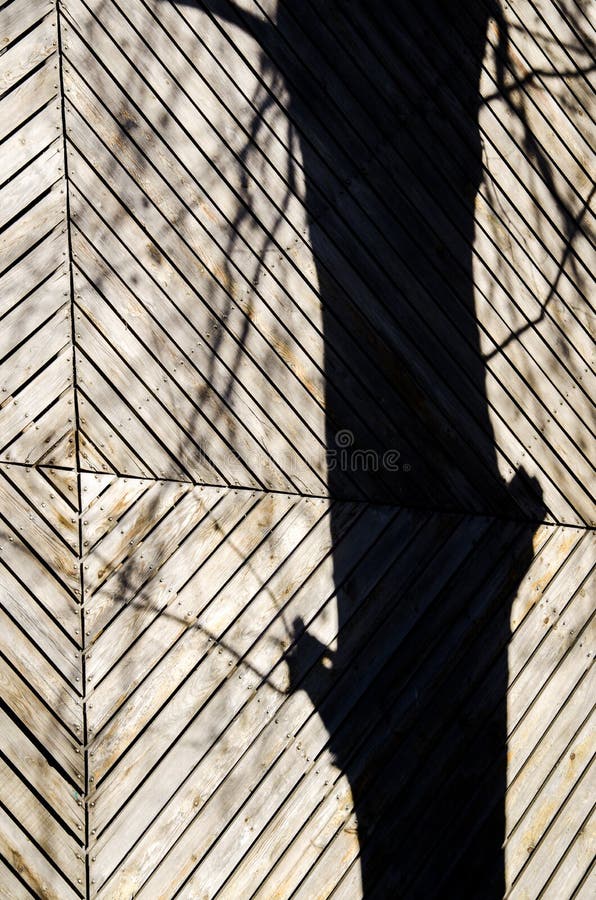 Tree shadow stock photo. Image of wall, branch, clinch - 106663526