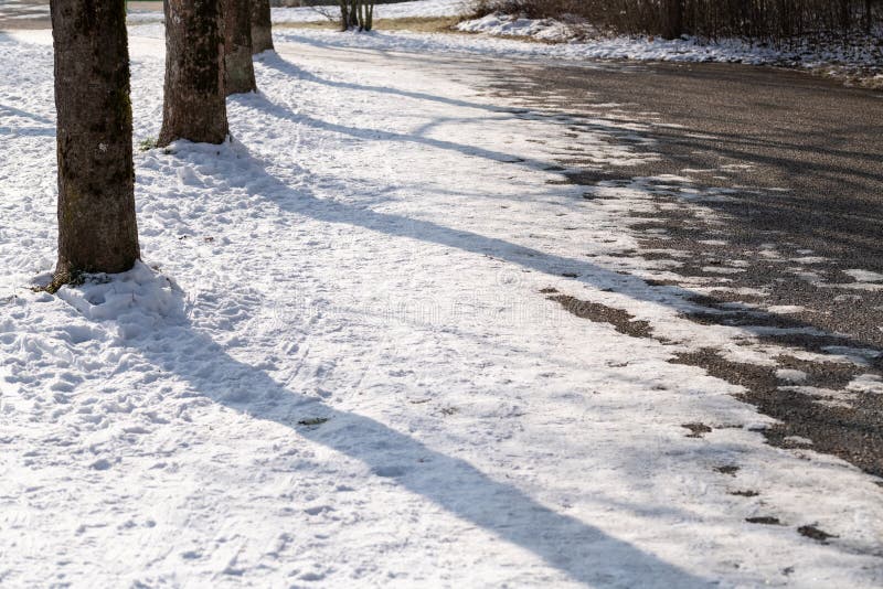 Tree Shadow on the Snow stock image. Image of daylight - 243560449