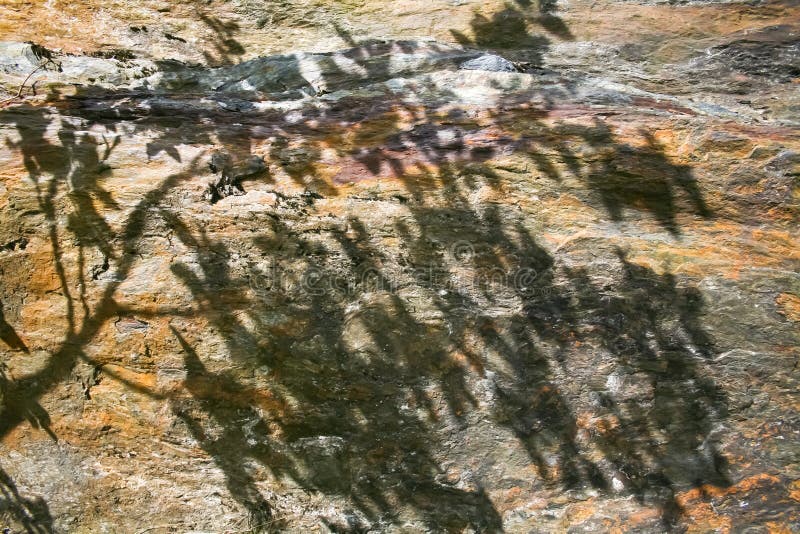 Great tree shadow stock photo. Image of cast, colour - 25908402