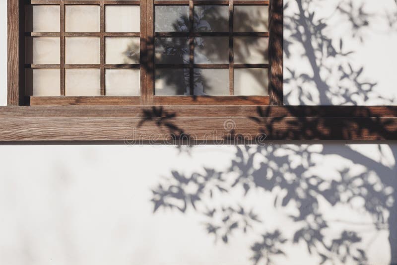 Tree Shadow Sunlight on Wooden Window Wall Stock Photo - Image of decor ...