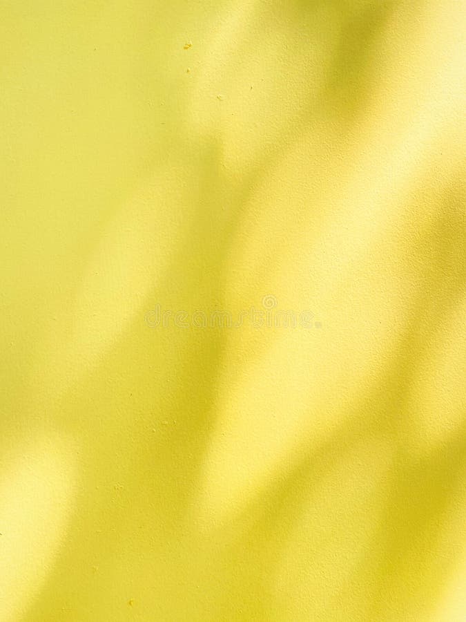 Tree Shadow Swaying in the Wind on Yellow Wall. Relaxation and Calmness ...