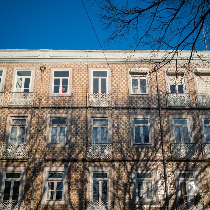 Tree shadow stock image. Image of tiled, building, tiles - 39880613