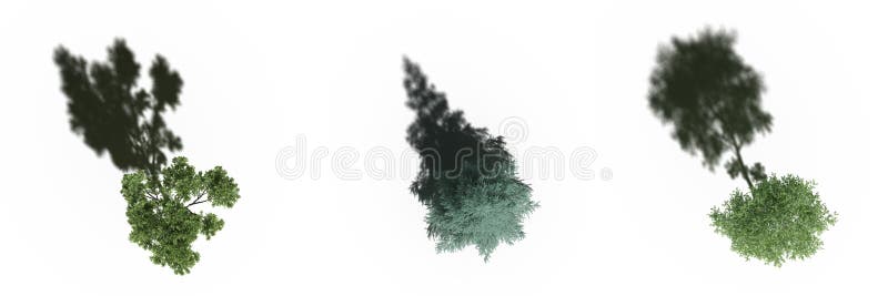 Tree with a Shadow Under it, Top View Stock Illustration - Illustration ...