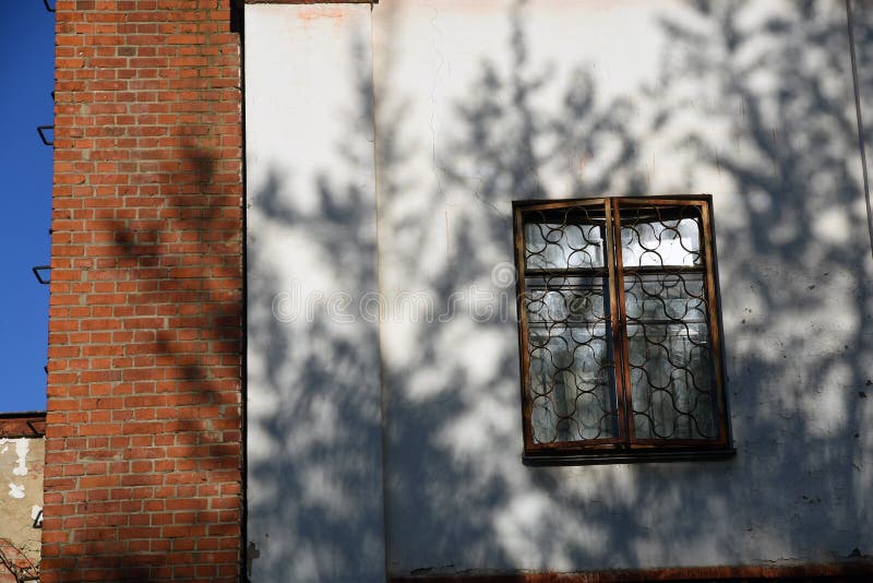 Tree Shadow on a Wall Made of Red Bricks. Stock Photo - Image of arch ...