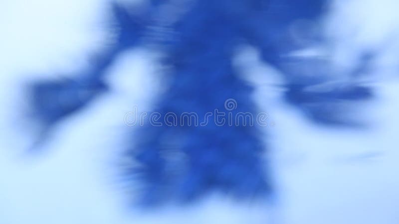 Tree Shadow in Water Reflection Stock Footage - Video of colour, pool ...