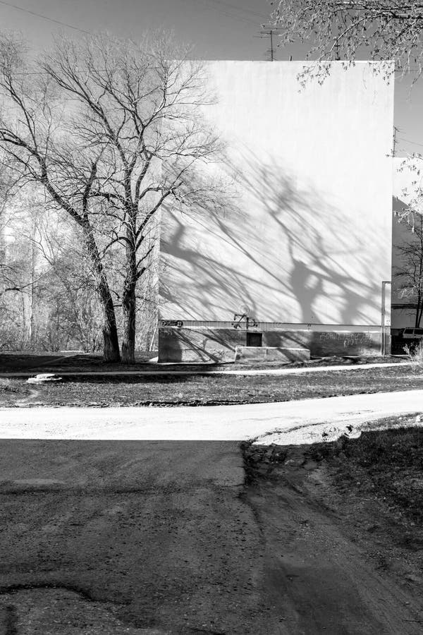 Tree Shadow on White Building Stock Photo - Image of urban, landscape ...