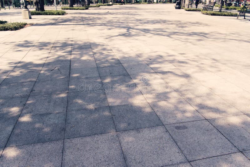 Tree Shadow on the White Concrete Blackground Stock Photo - Image of ...