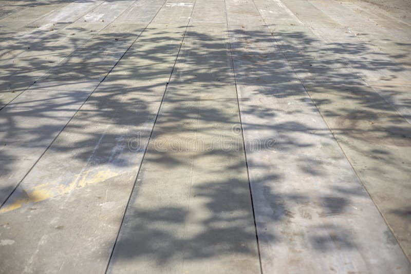 Tree Shadow on the White Concrete Blackground Stock Photo - Image of ...
