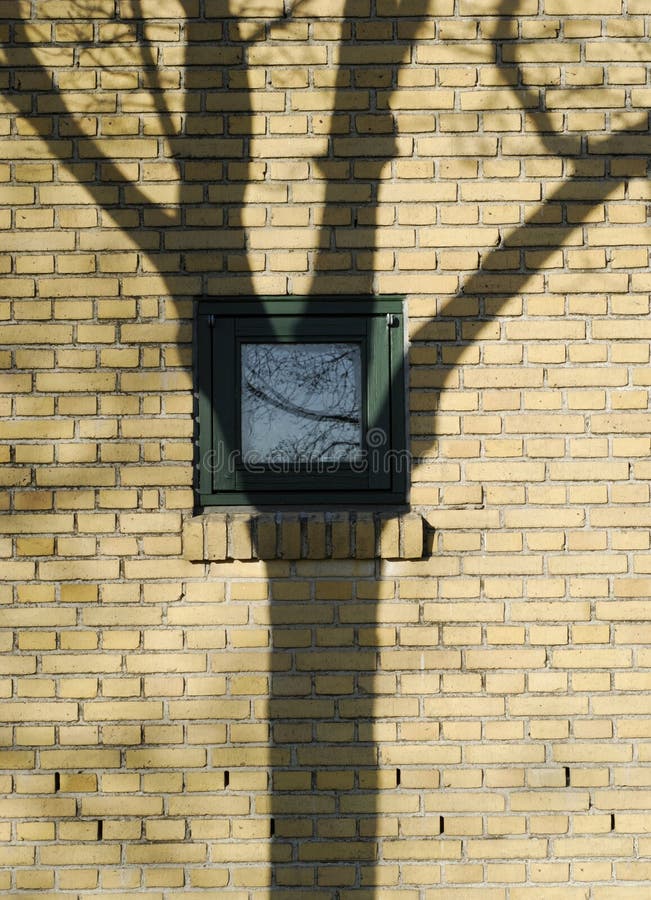 235,270 Tree Shadow Photos - Free & Royalty-Free Stock Photos from ...