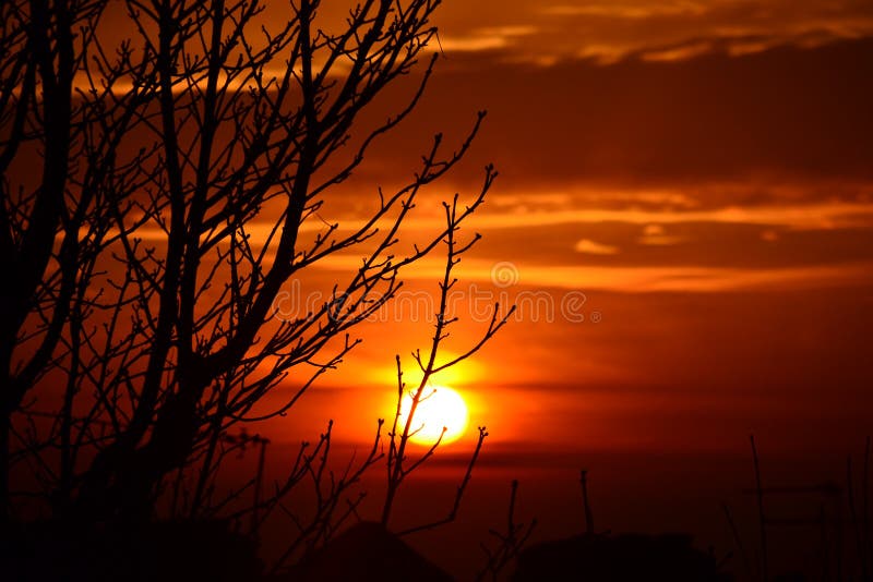 Tree Shadow in a Winter Sunset Stock Photo - Image of rural, outdoor ...
