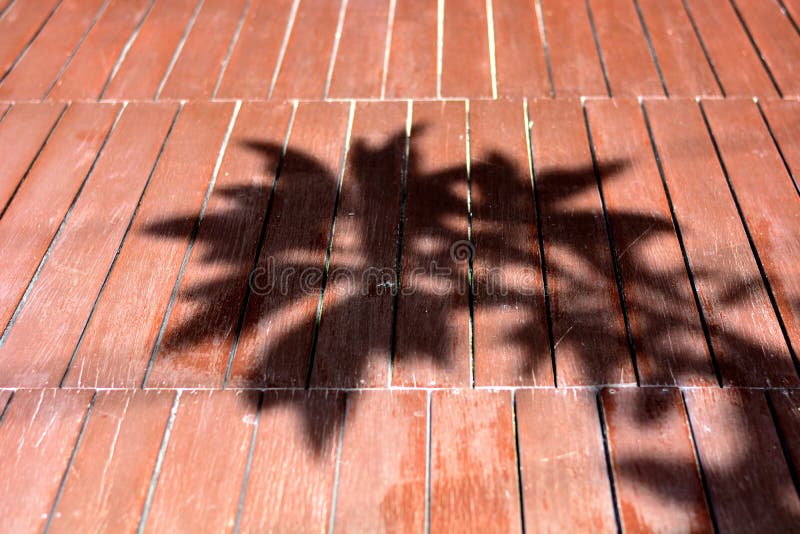 Tree Shadow on the Wood Floor Stock Image - Image of effect, outdoor ...