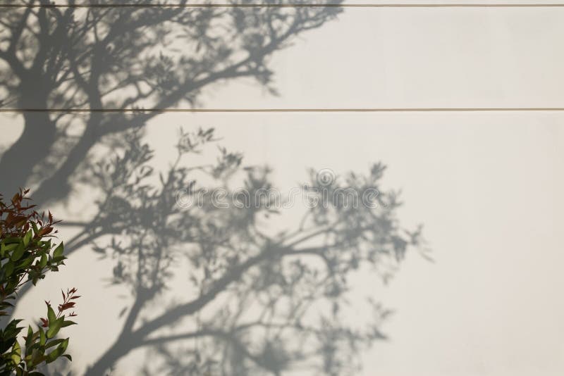 Tree Shadows background. stock image. Image of construction - 77999021