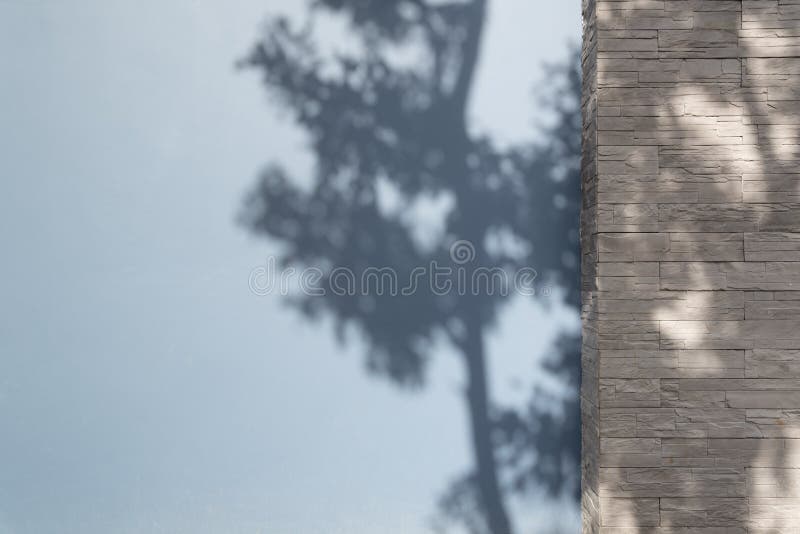 Tree Shadows background. stock image. Image of grey, shadow - 77999165