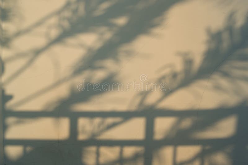 Tree Shadows background. stock image. Image of nature - 88635143