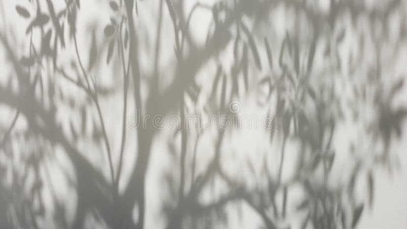 Tree Shadows background. stock photo. Image of backgrounds - 125748162