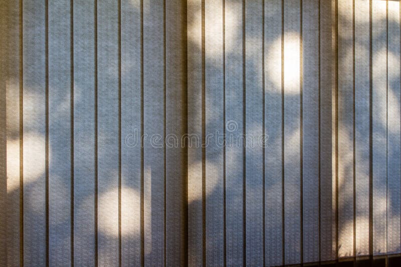 Tree Shadows with Bokeh Cast Onto Window Blinds Stock Photo - Image of ...