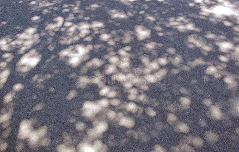 Tree Shadows on the Concrete Pavement Floor Stock Image - Image of ... Tree Shadows on the Concrete Pavement Floor Stock Image - Image of ...