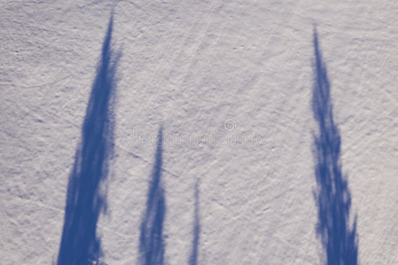 Tree shadows on field snow stock image. Image of drone - 141016591