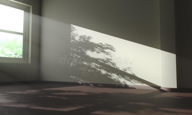 Tree Shadows Inside a House. High Quality and Resolution Beautiful ...