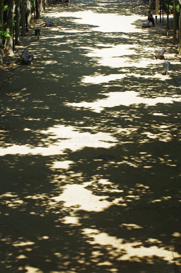 Tree shadows on snow stock image. Image of outdoors, tree - 30783735