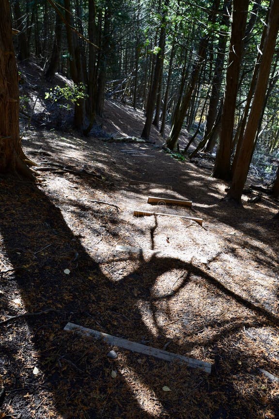Tree Shadows and Steps Descending into Ravine Along Hiking Trail at ...